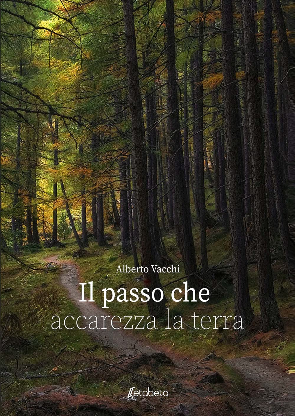 Il passo che accarezza la terra (di Alberto Vacchi) @ Aphorism.it